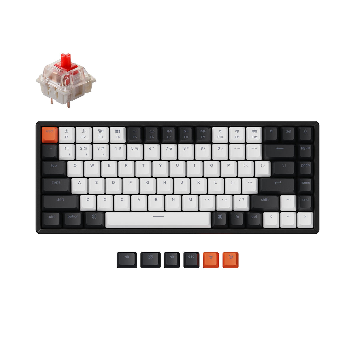 75% Layout Keyboards – keychron Netherlands
