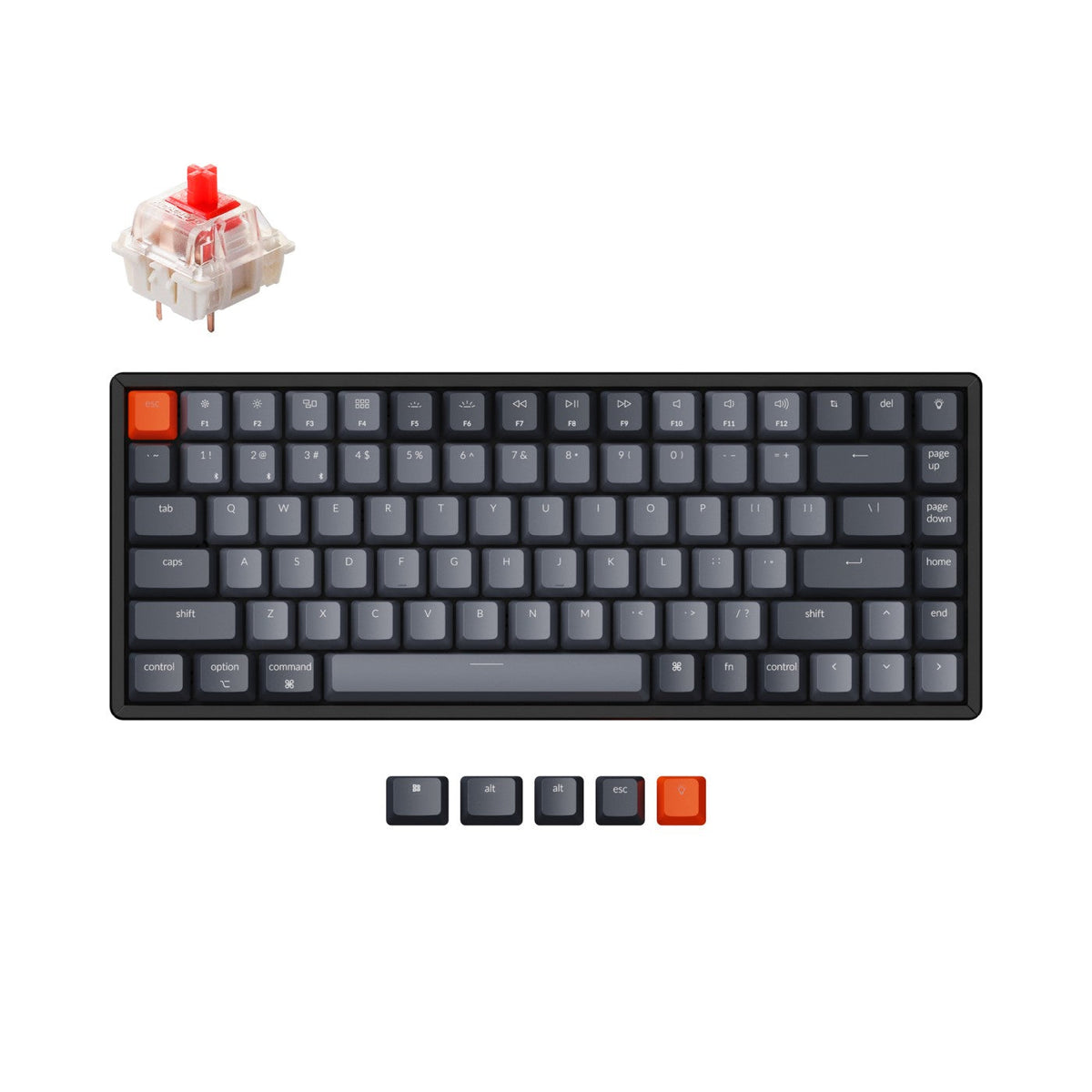 75% Layout Keyboards – keychron Netherlands