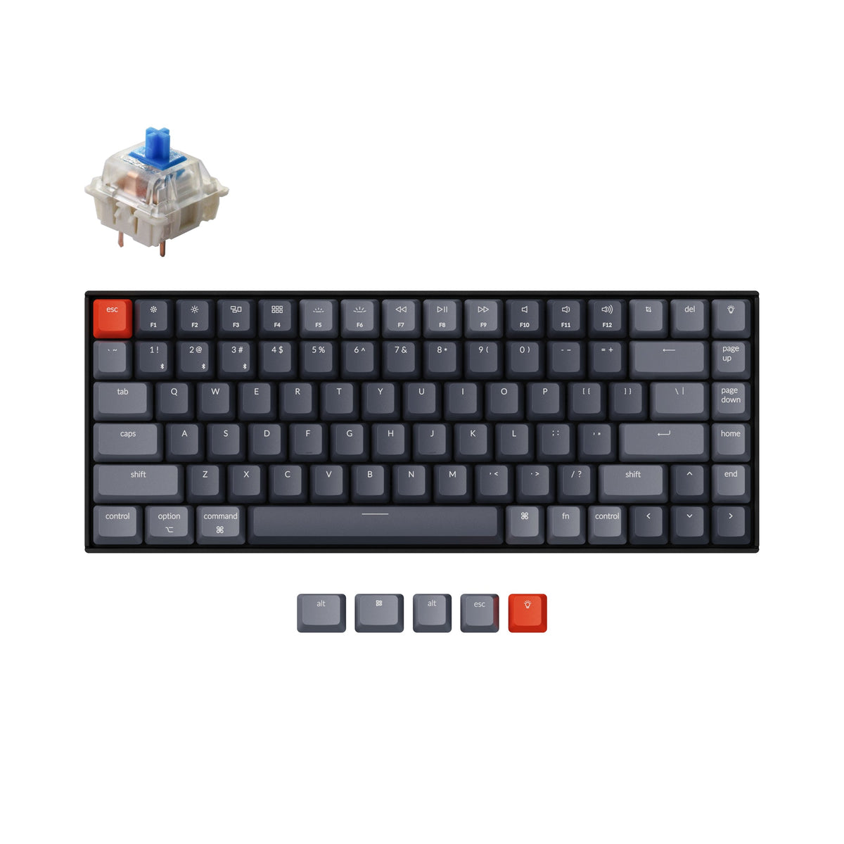 75% Layout Keyboards – keychron Netherlands