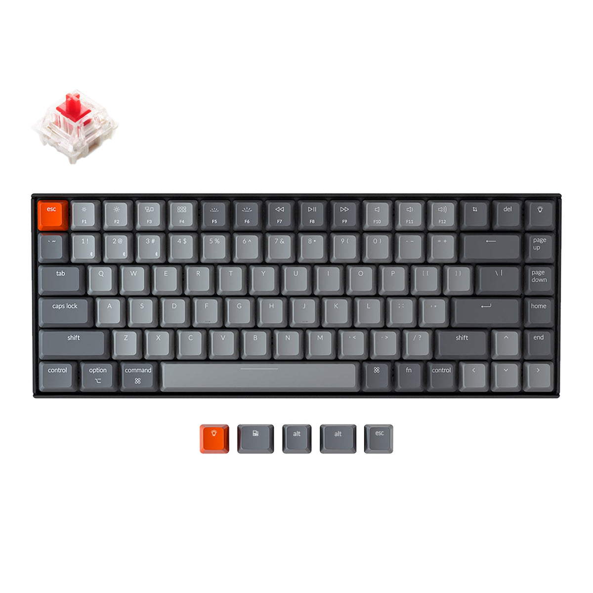 75% Layout Keyboards – keychron Netherlands