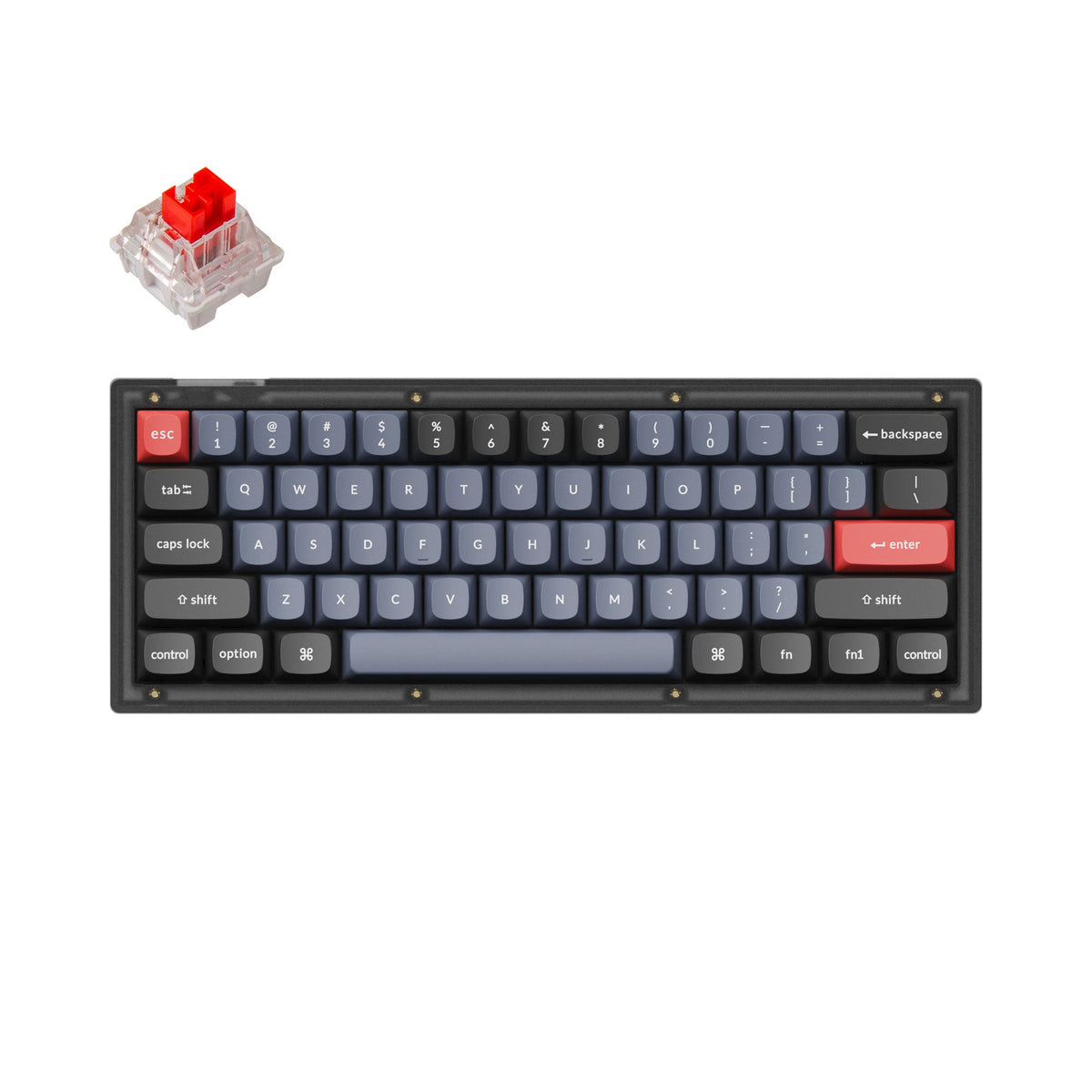 Keychron V4 QMK Custom Mechanical Keyboard (US ANSI Keyboard ...