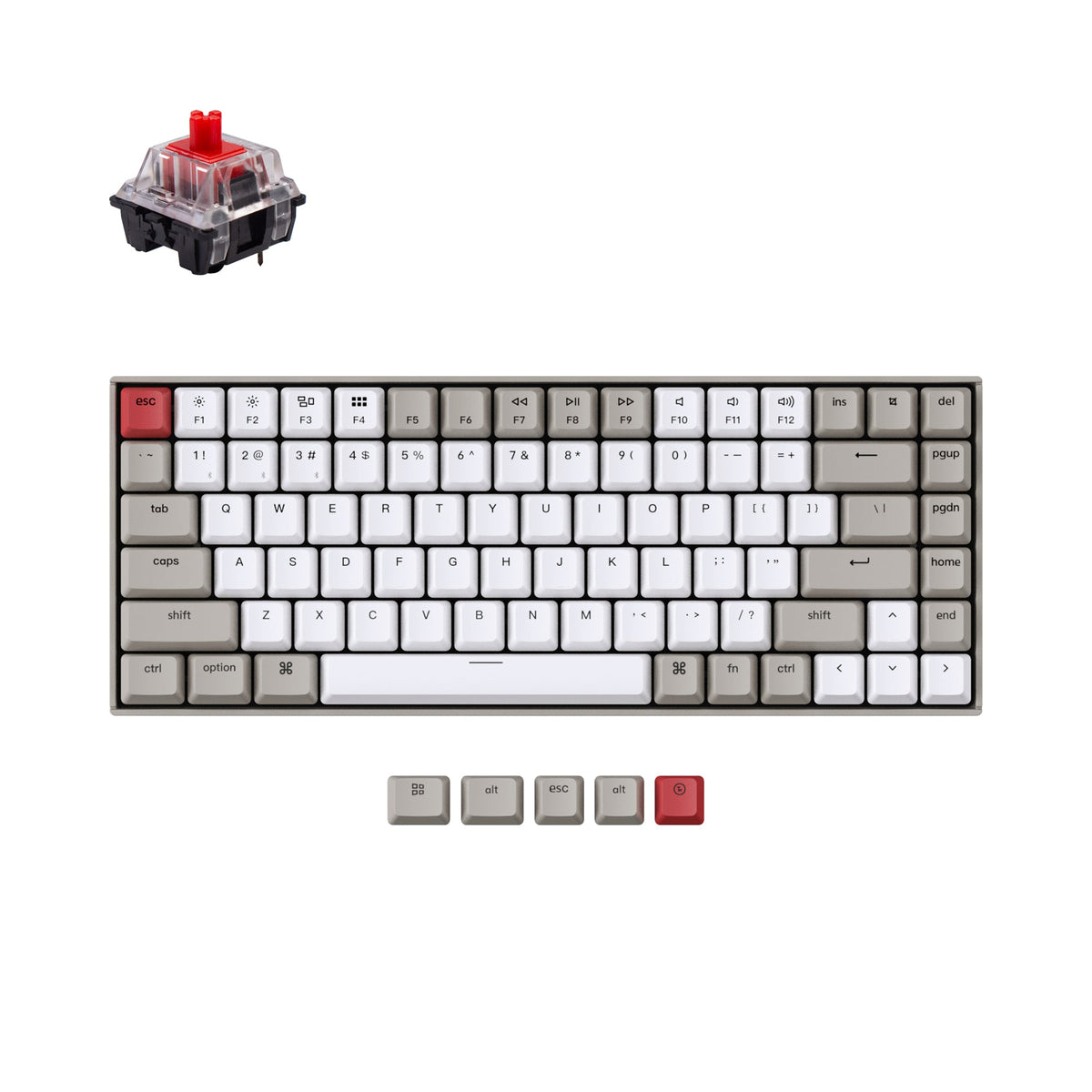 Keychron K2 Non-Backlight Wireless Mechanical Keyboard(US ANSI Layout ...